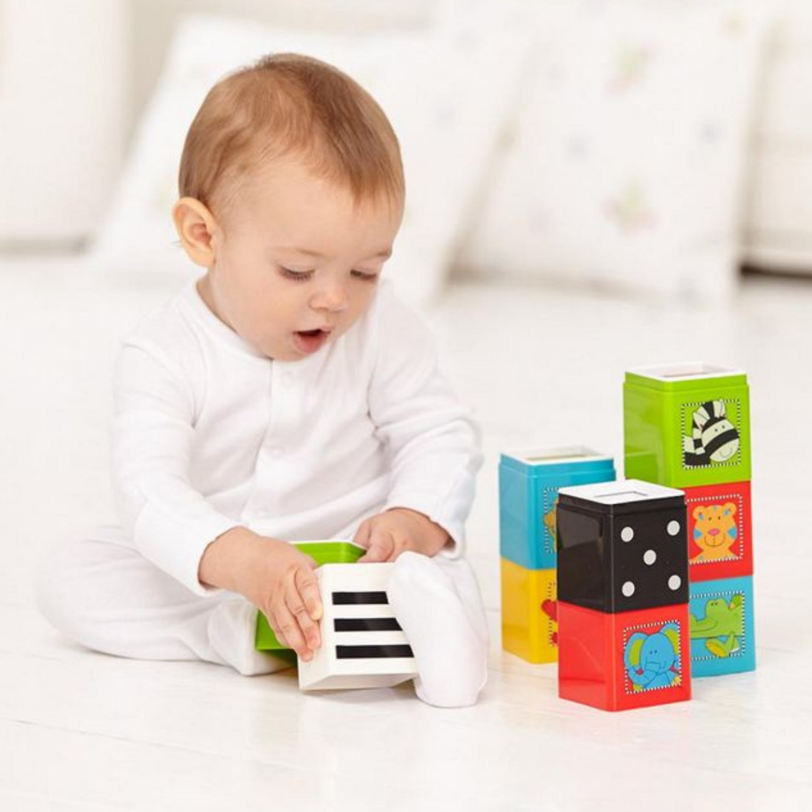 Buy ELC - Jungle Wonder Cubes